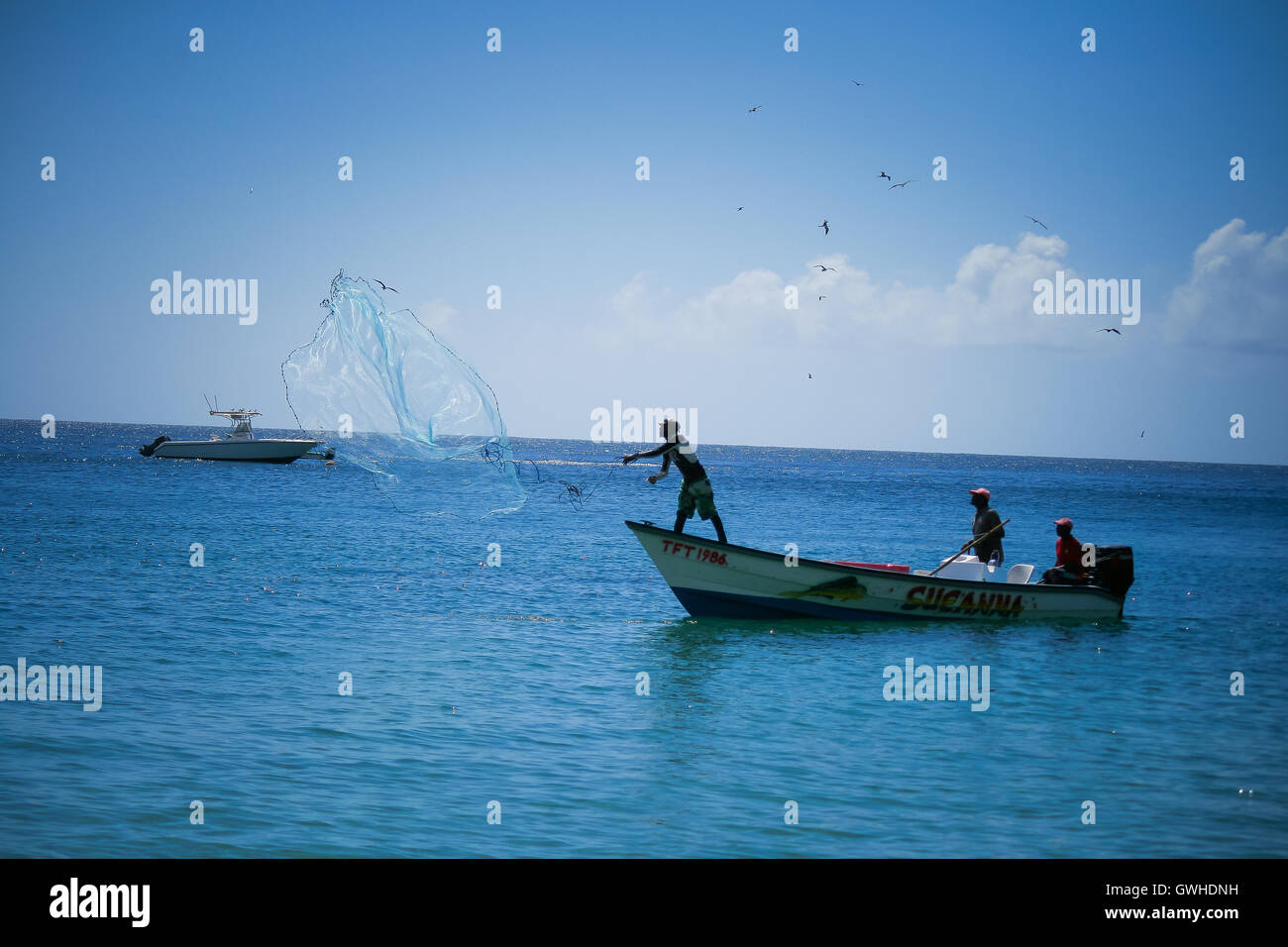 Side angle view hi-res stock photography and images - Alamy