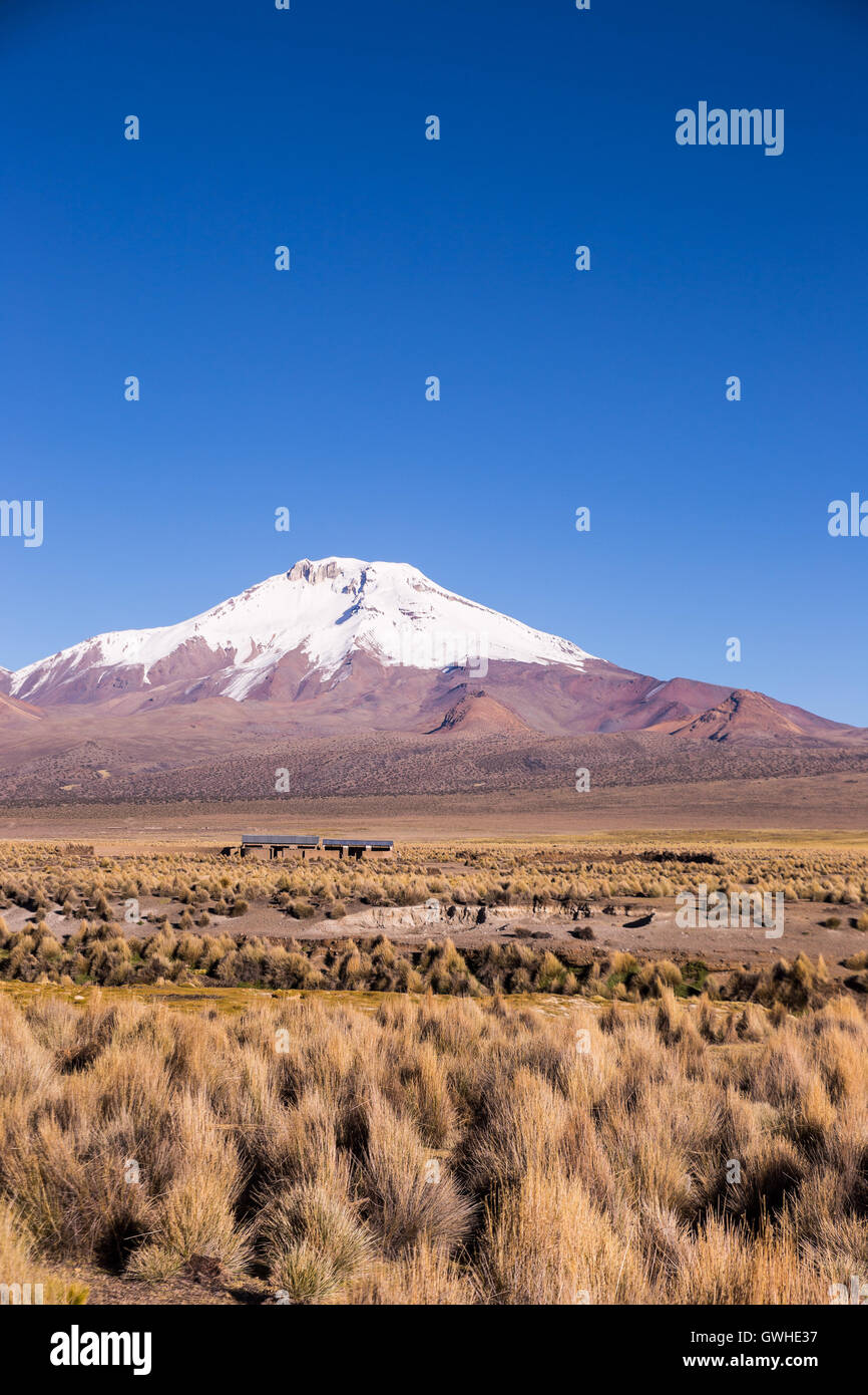 High Andean tundra landscape in the mountains of the Andes. The weather ...