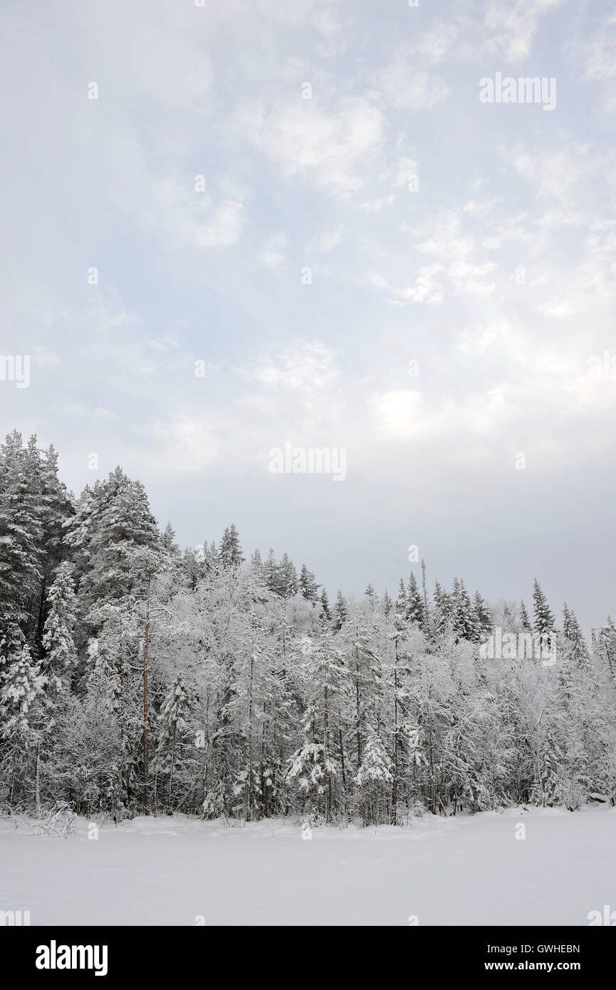 Taiga landscape hi-res stock photography and images - Alamy