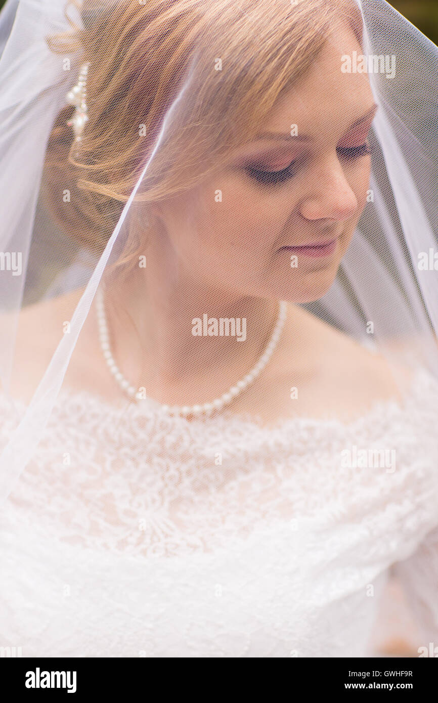 Bride under veil Stock Photo - Alamy