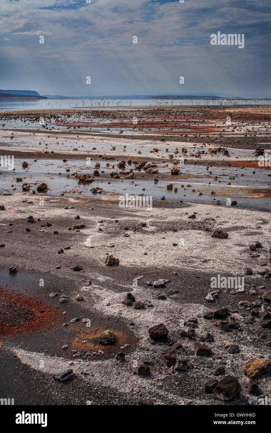Vertical landscape of Lake Magadi and salt and soda shoreline. Kenya ...