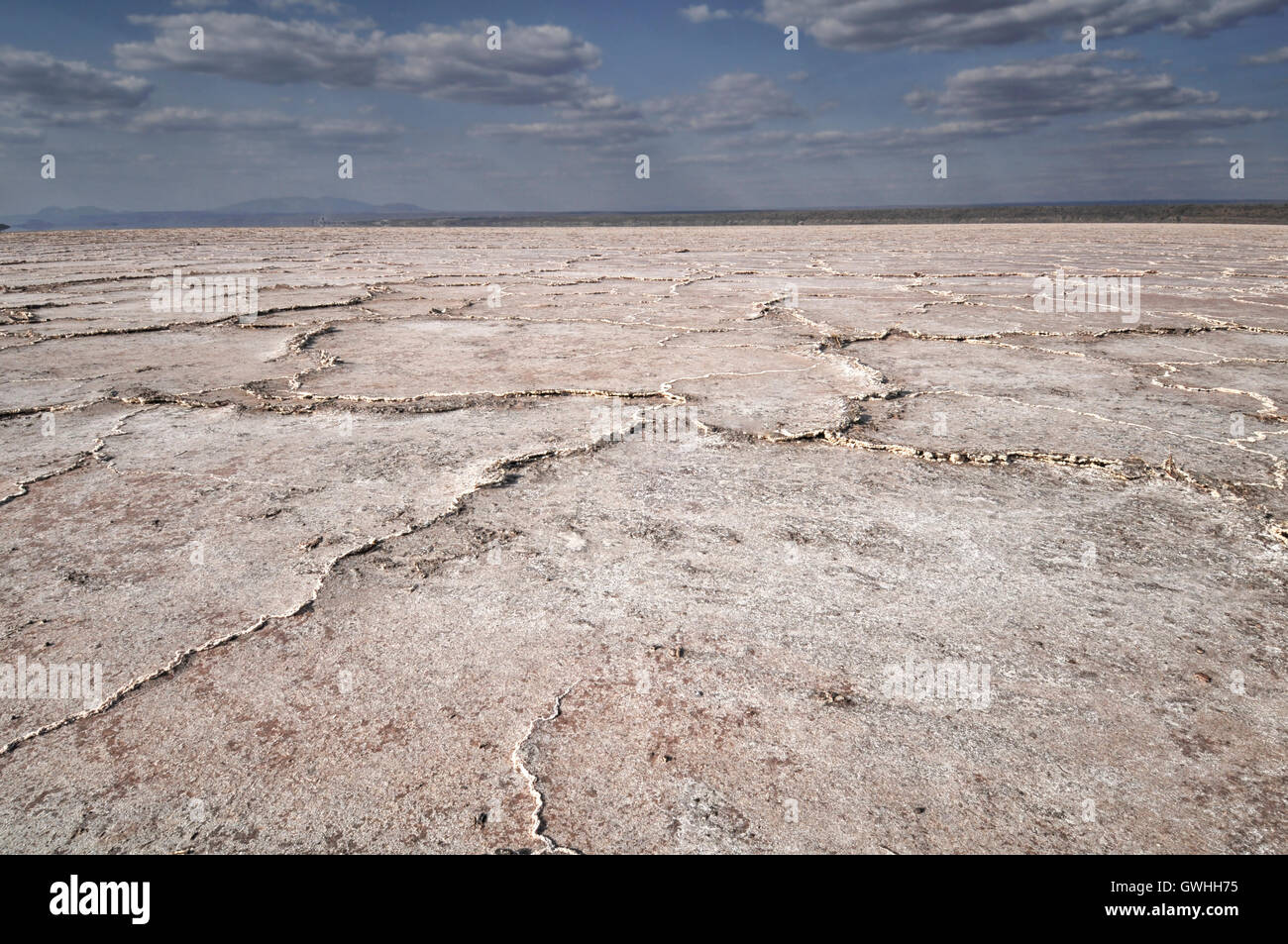 Landscape of dry soda lake at Lake Magadi, Kenya. Africa Stock Photo ...