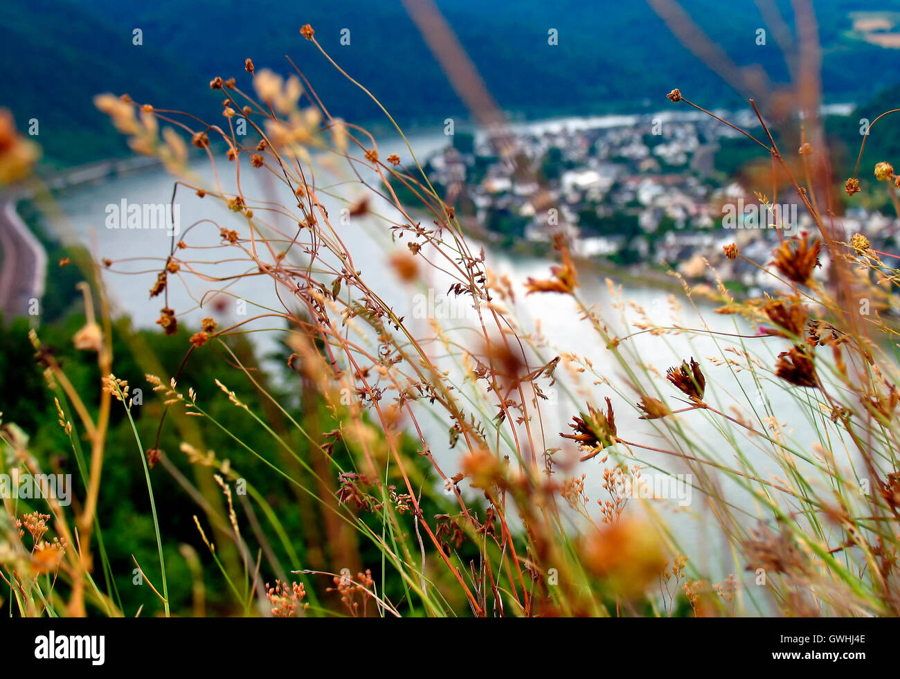 View of the beautiful Rhein River in Germany Stock Photo - Alamy