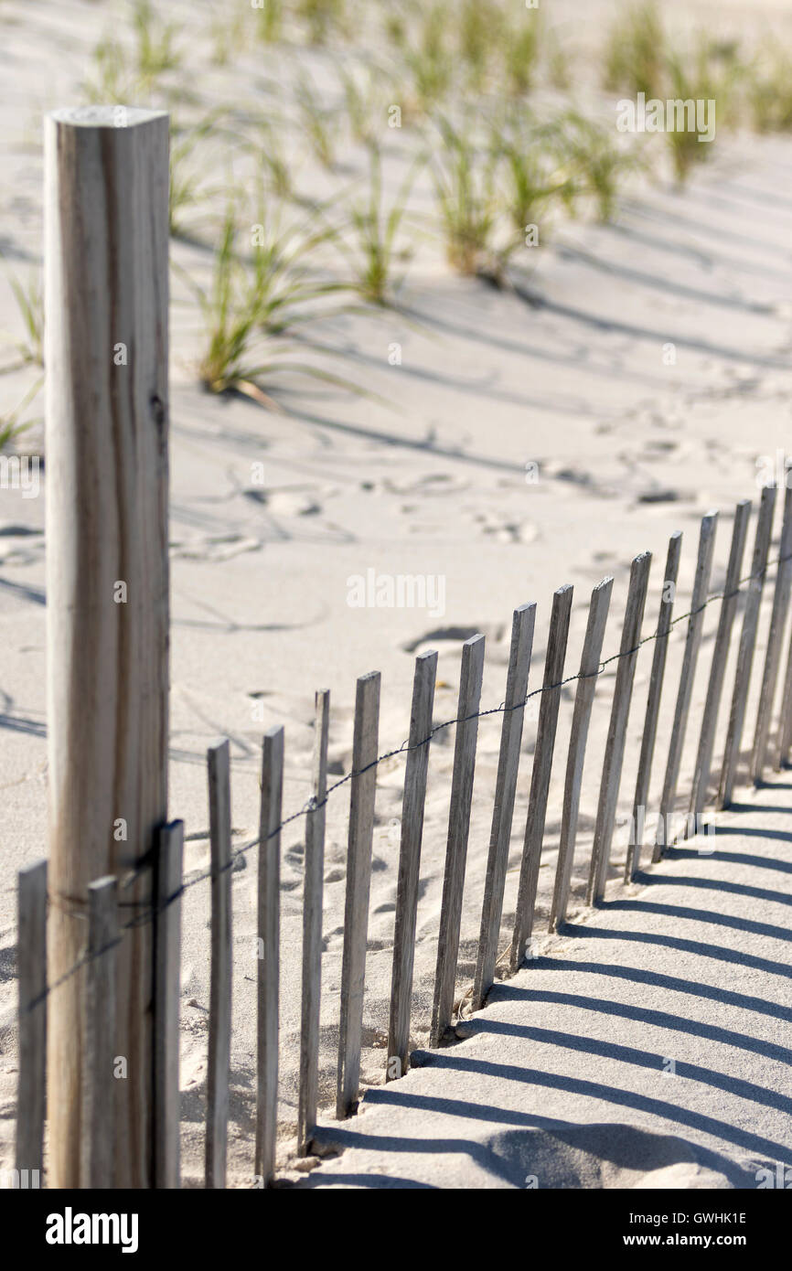 Wooden fence, grass and white sand dunes on the beach on a hot summer ...