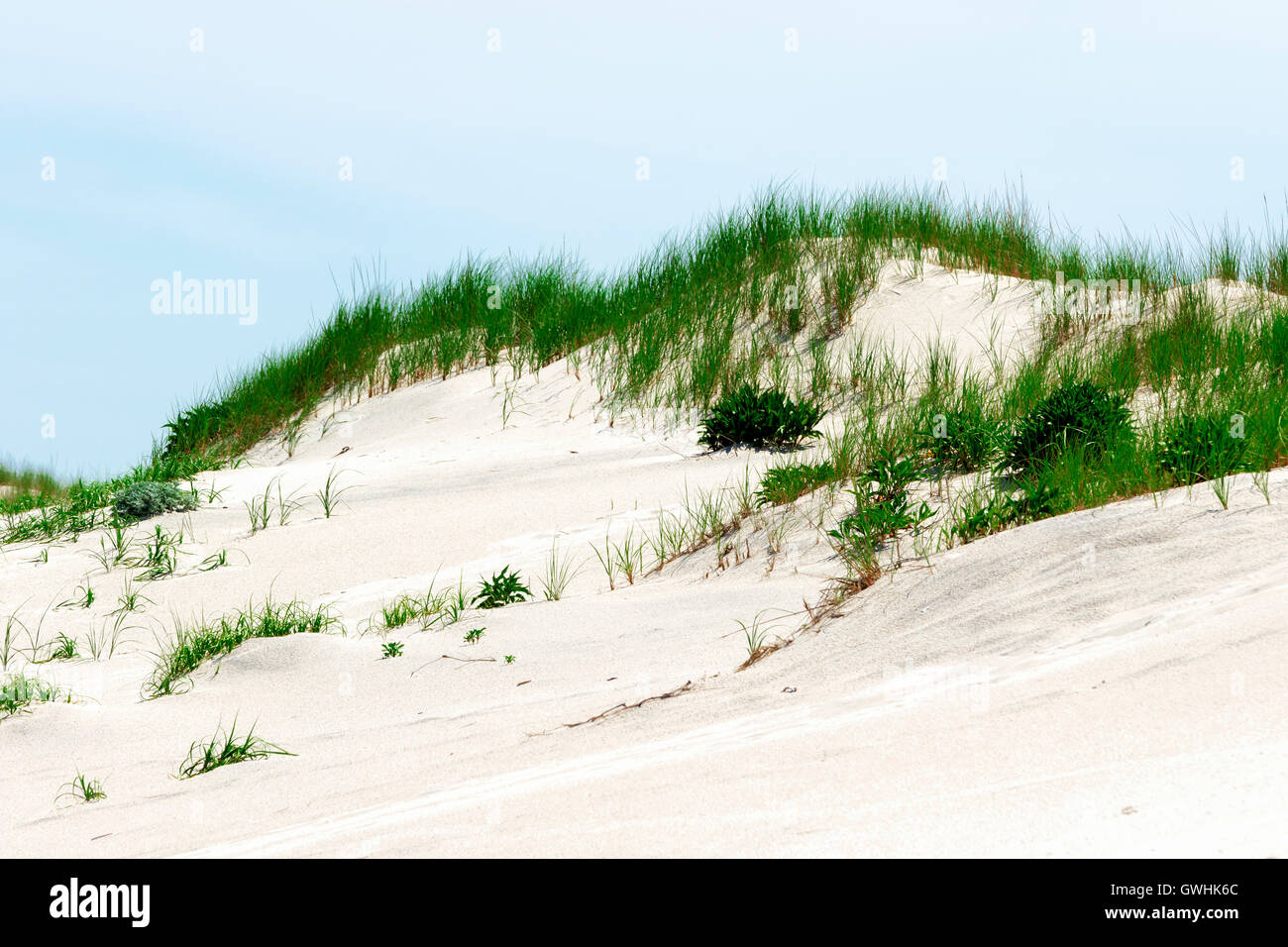 Grass and white sand dunes on the beach on a hot summer afternoon Stock ...