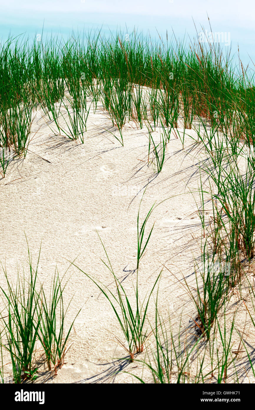 Grass and white sand dunes on the beach on a hot summer afternoon Stock ...