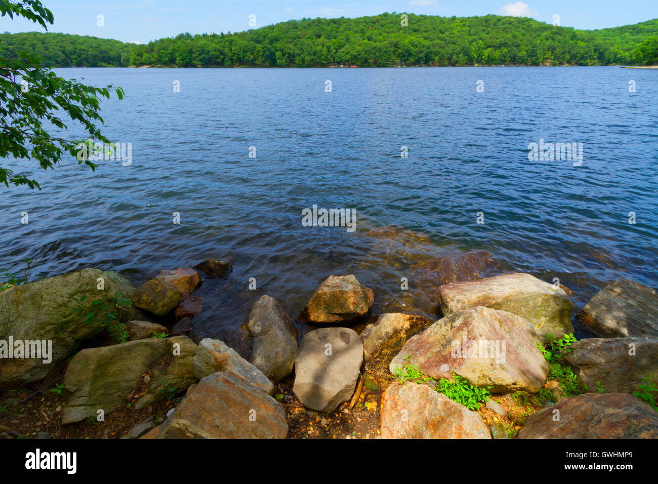 Beautiful view of sunset on the forest lake Stock Photo - Alamy