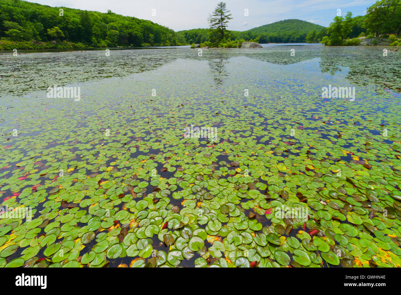 Beautiful view of sunset on the forest lake Stock Photo - Alamy