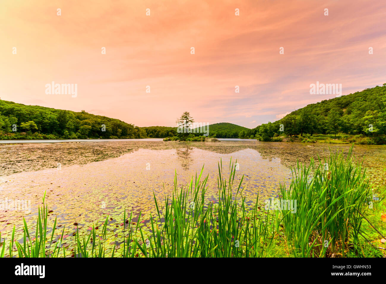 Beautiful view of sunset on the forest lake Stock Photo - Alamy
