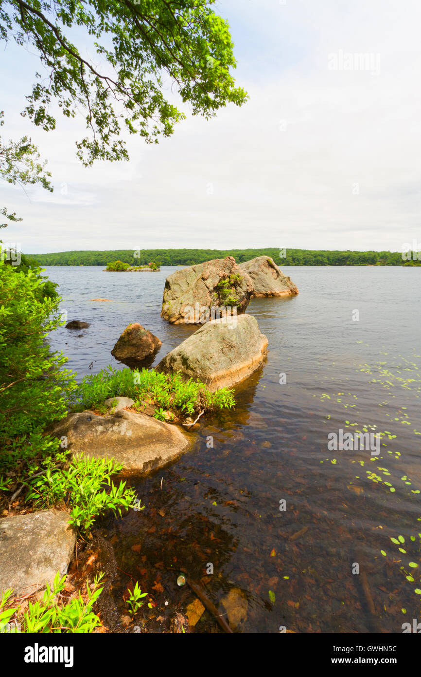 Beautiful view of sunset on the forest lake Stock Photo - Alamy