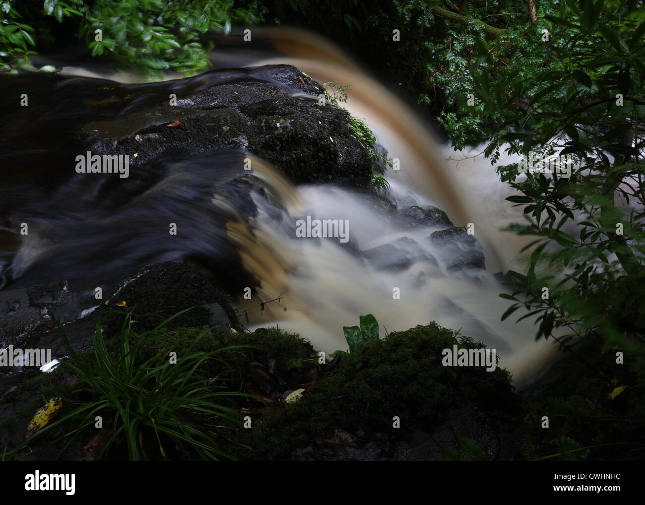 Kelly burn hi-res stock photography and images - Alamy