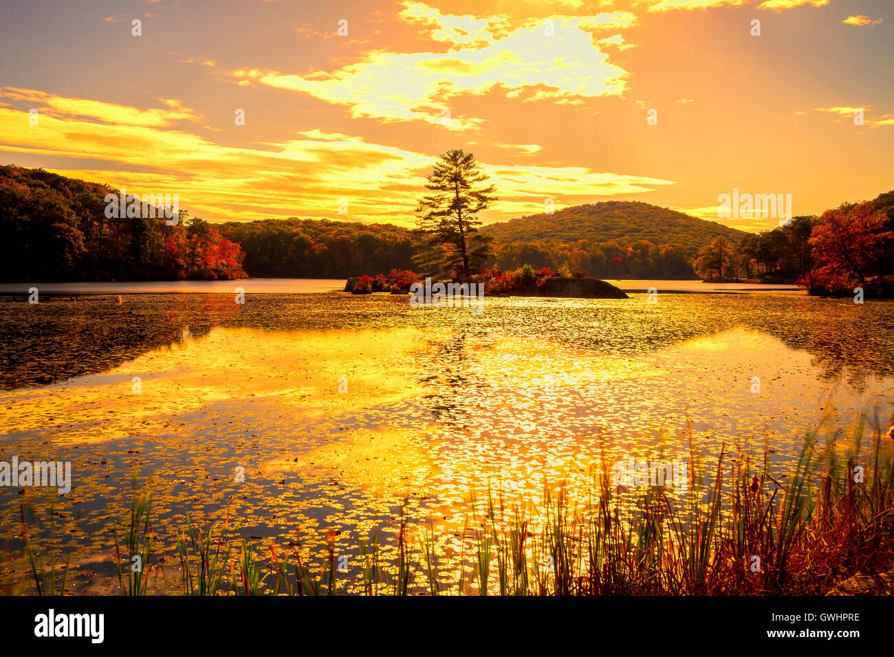 Fall landscape with the forest lake at sunset Stock Photo - Alamy