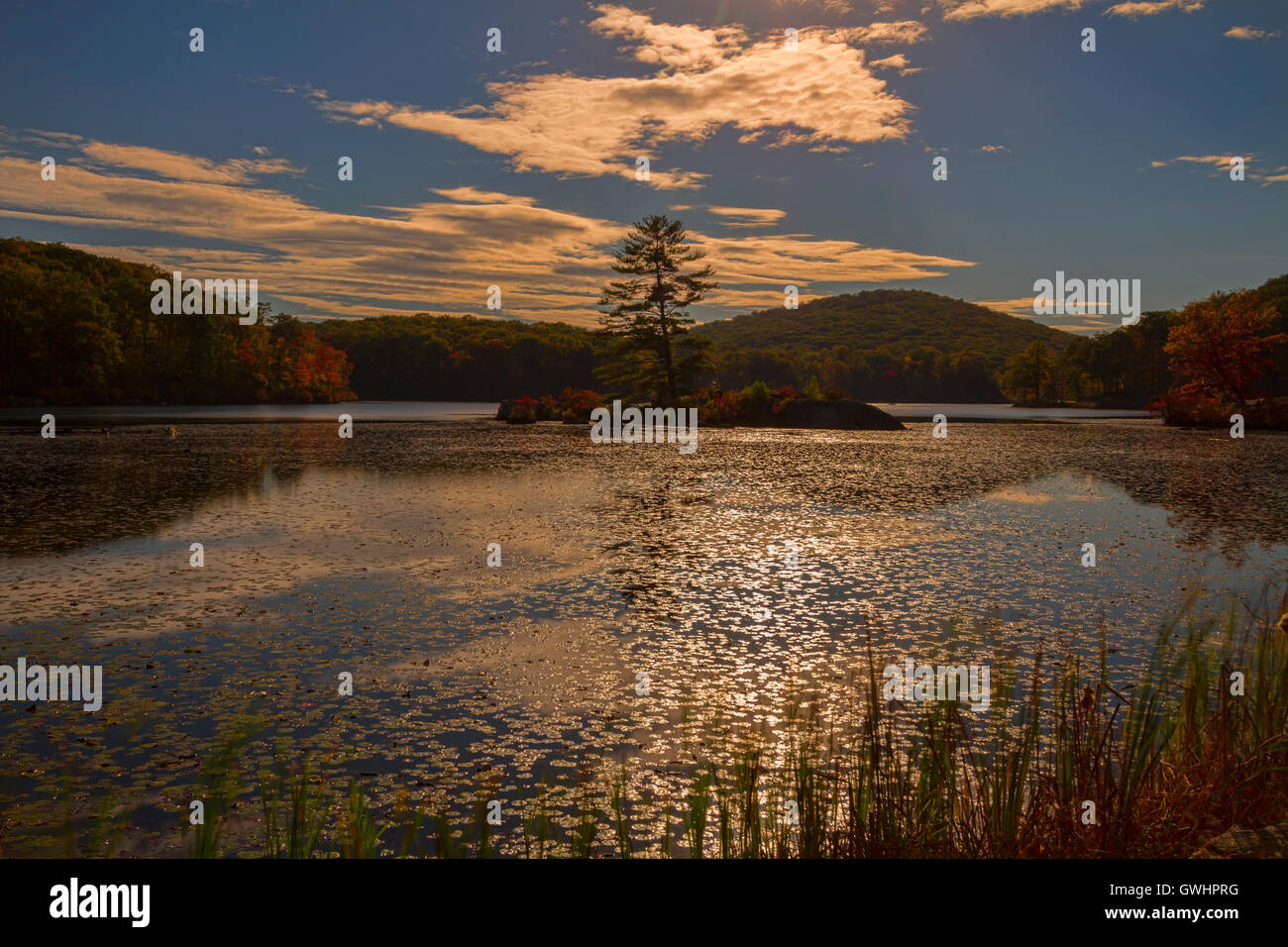 Sunset on the forest lake Stock Photo - Alamy