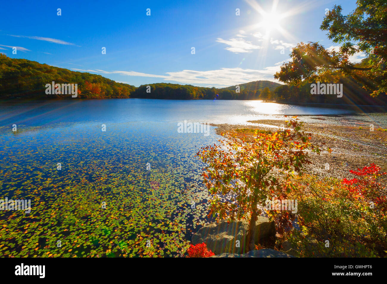 Fall landscape with the forest lake Stock Photo - Alamy