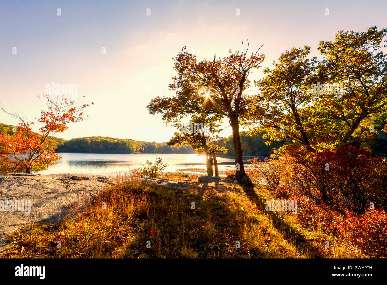 Fall landscape with the forest lake Stock Photo - Alamy
