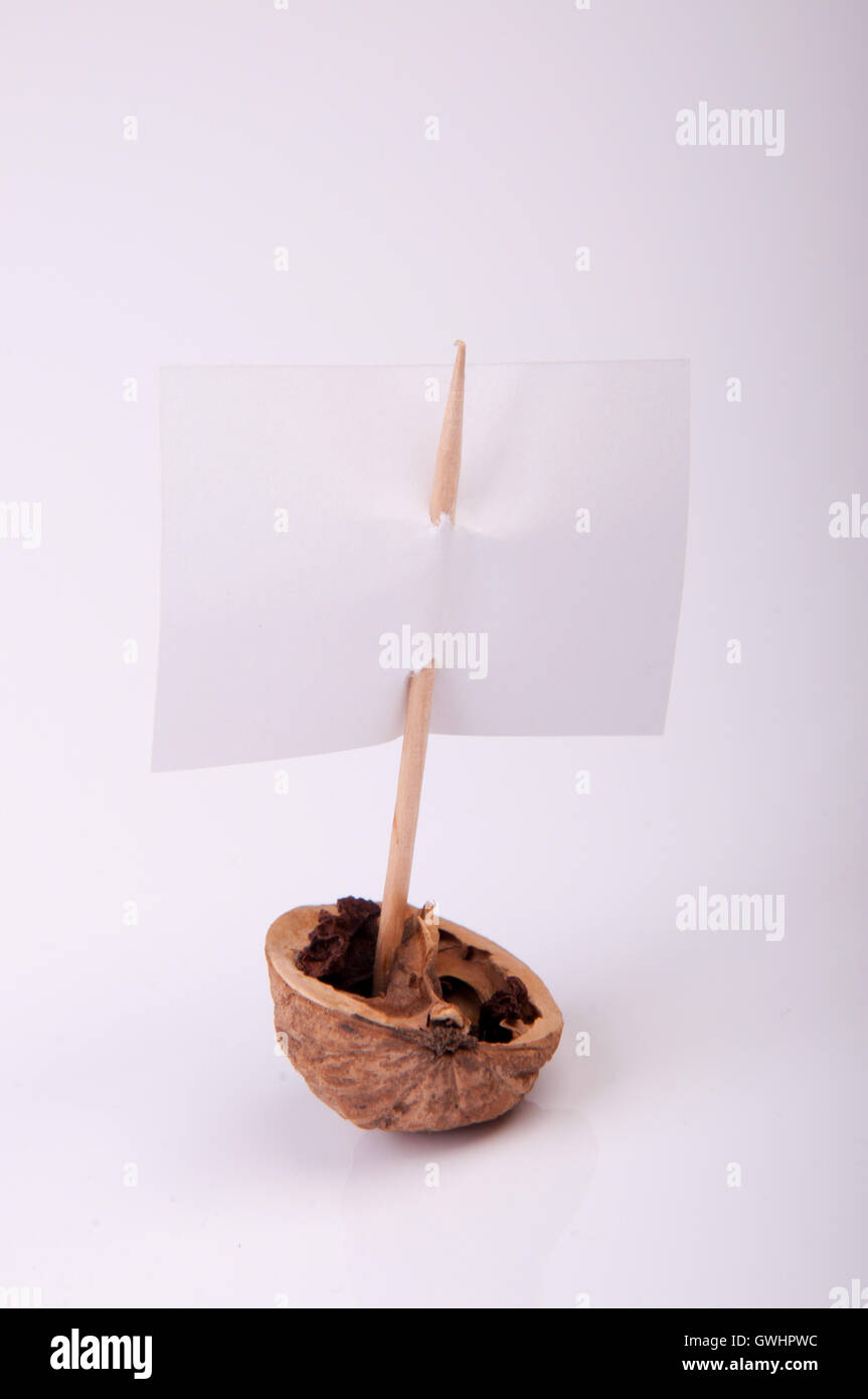 Walnut shell boat hi-res stock photography and images - Alamy