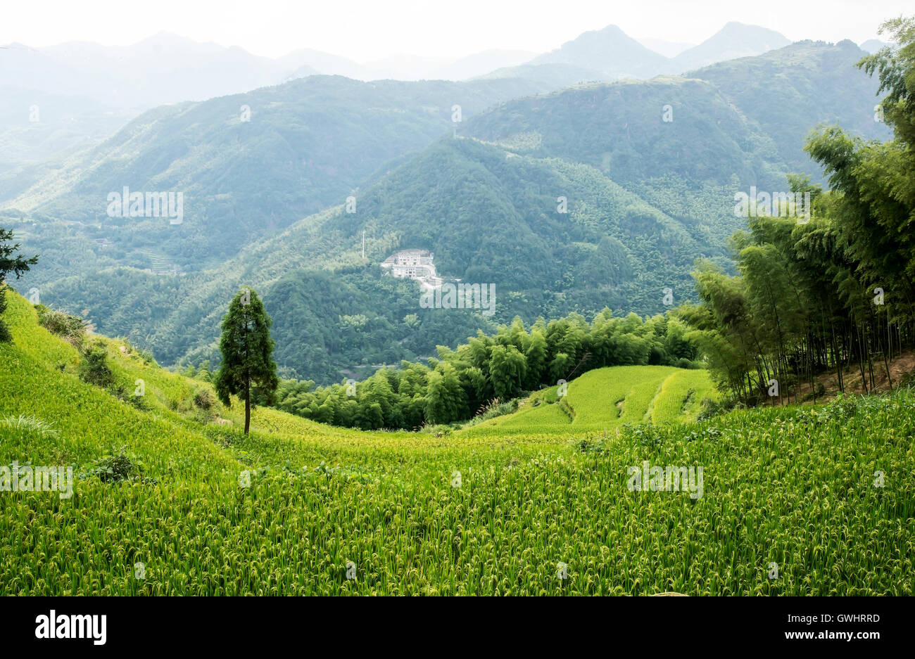 China Wenzhou landscape - mountain scenery Stock Photo - Alamy