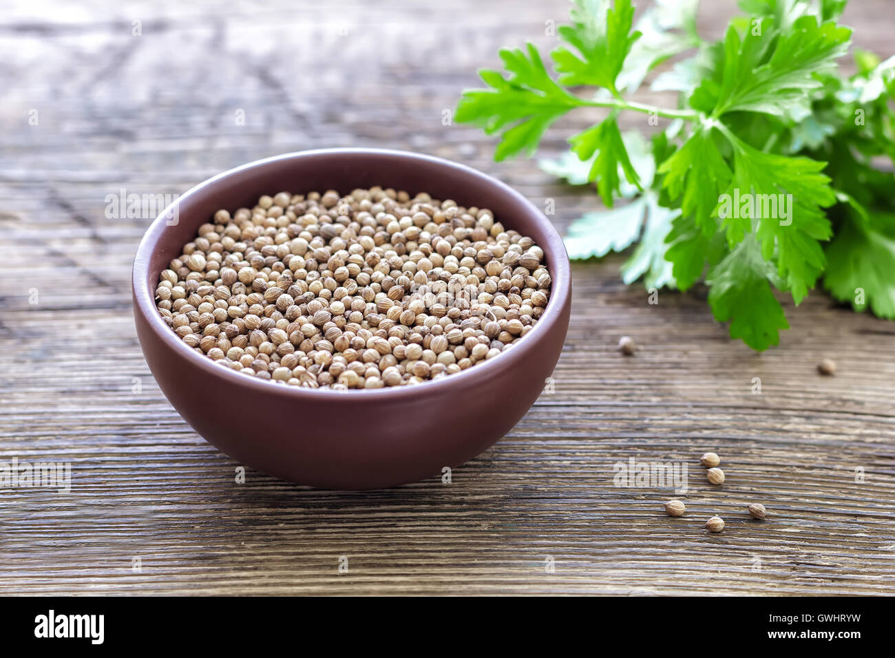 Chinese herbal medicine coriander hi-res stock photography and images ...