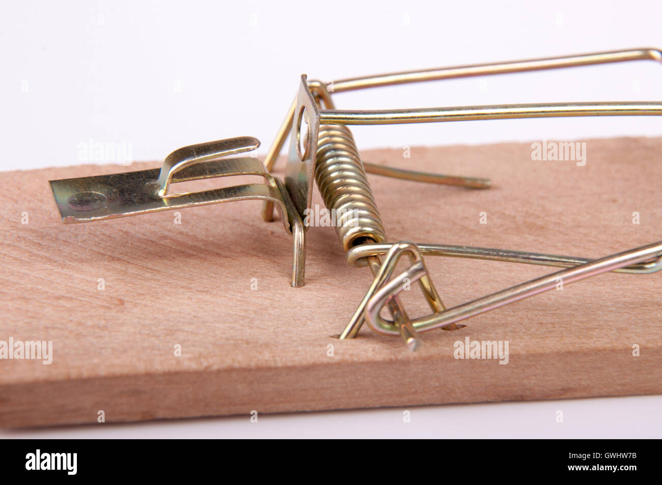 Empty mousetrap hi-res stock photography and images - Alamy