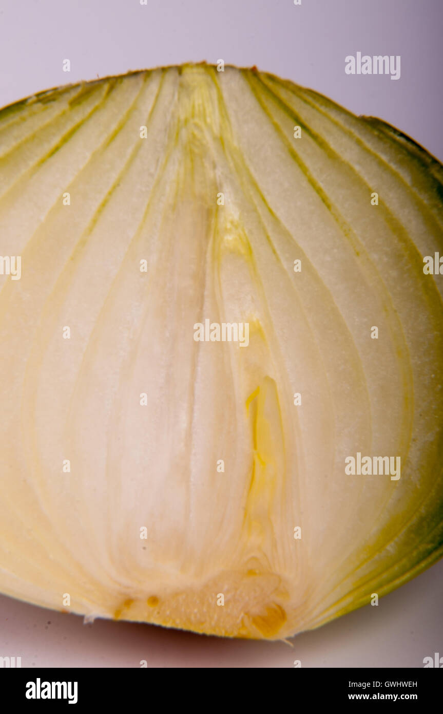 Onion close up Stock Photo - Alamy
