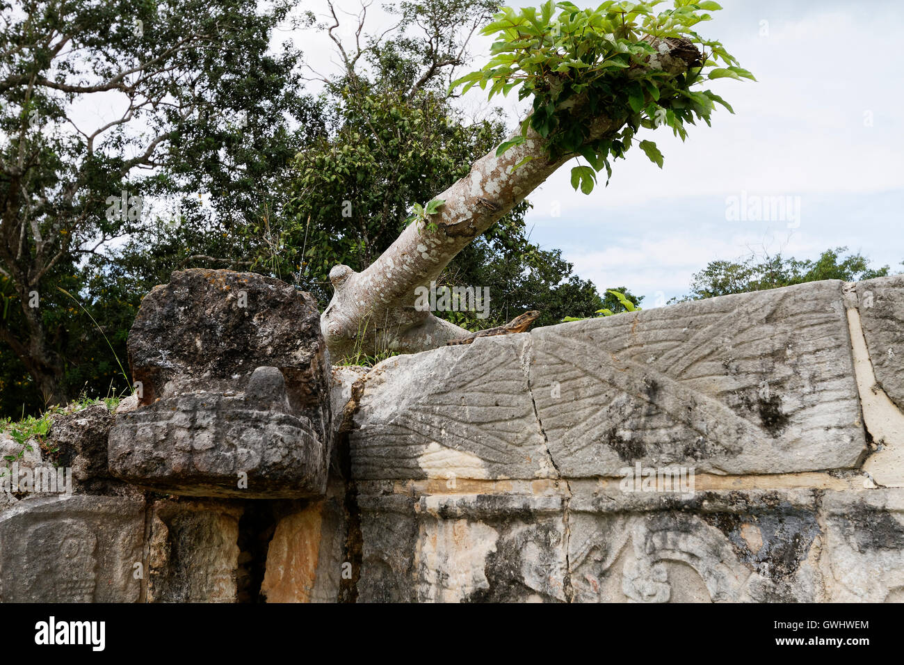 Scenic views of Chichen Itza Maya ruins on Yukatan Peninsula, Mexico ...