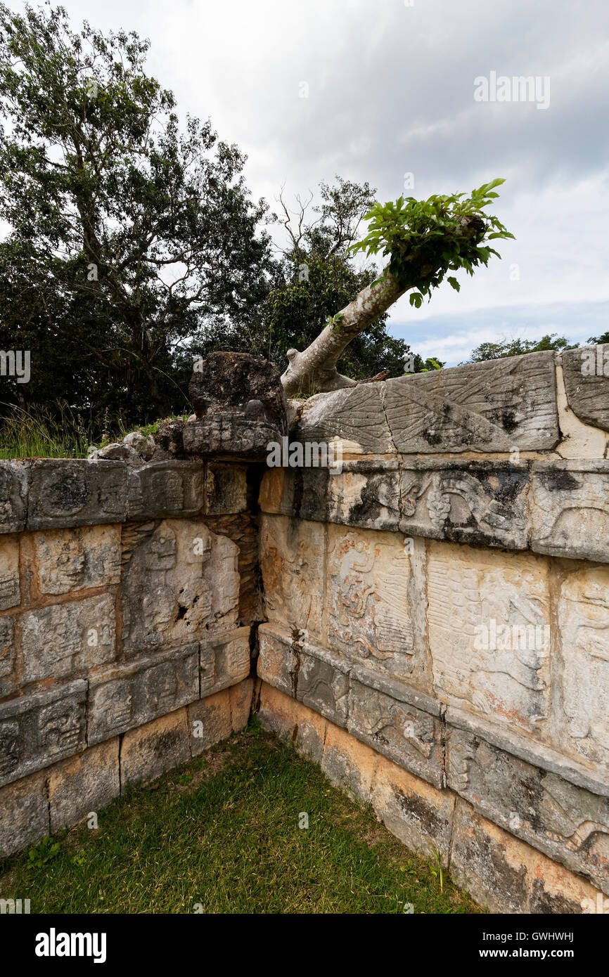 Scenic views of Chichen Itza Maya ruins on Yukatan Peninsula, Mexico ...
