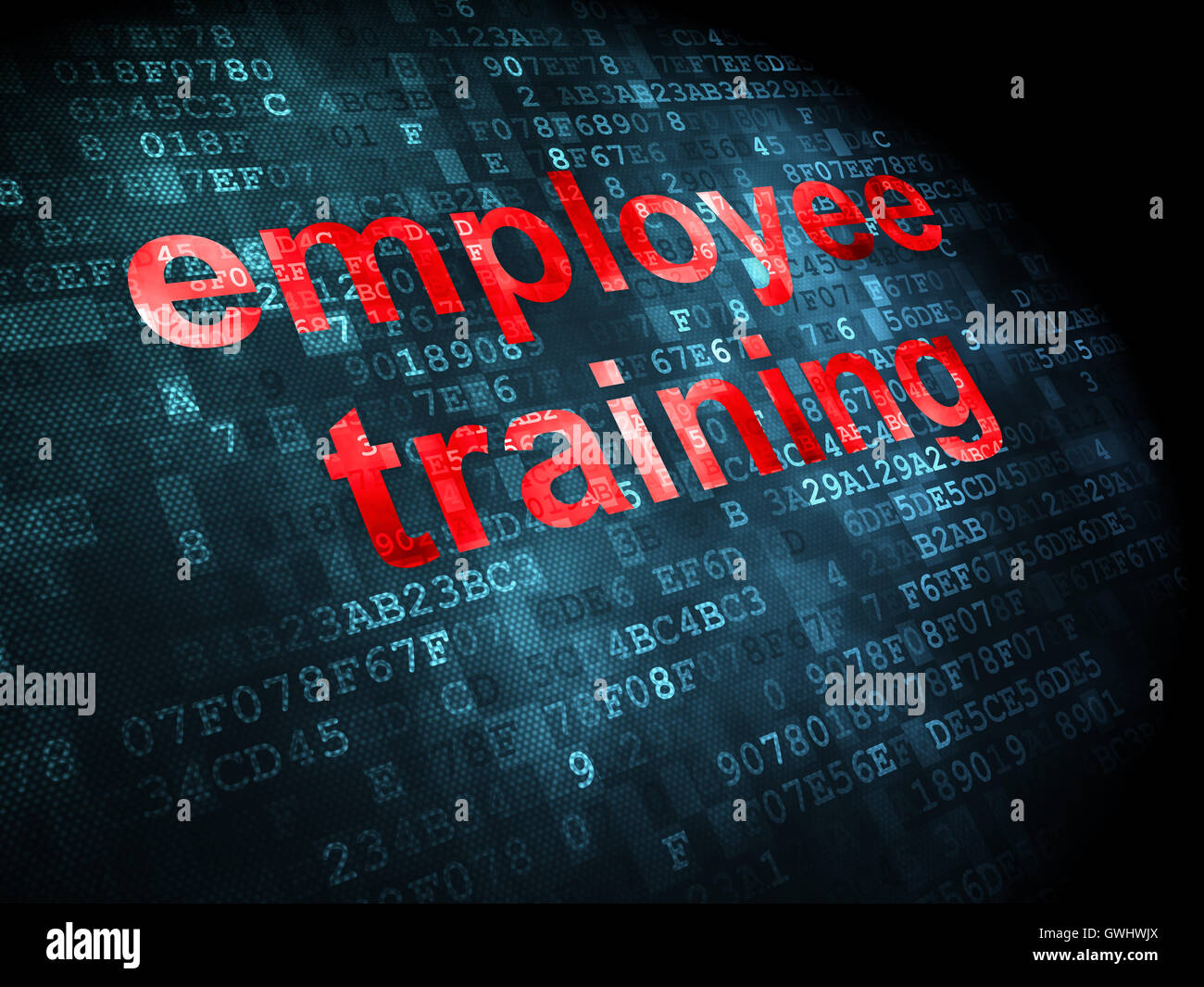 Education concept: Employee Training on digital background Stock Photo ...