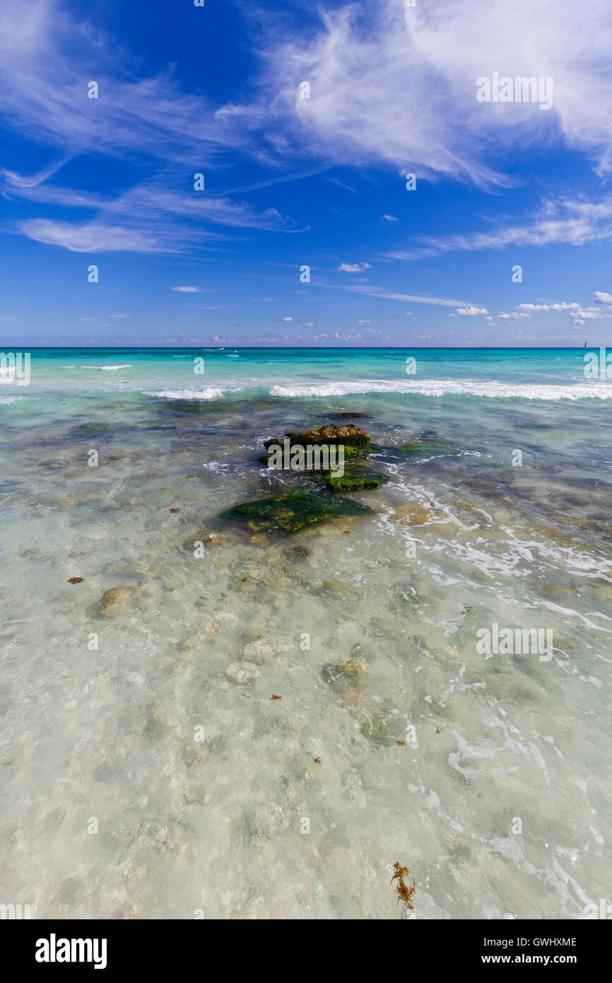 View of the Caribbean beach with crystal clear water Stock Photo - Alamy