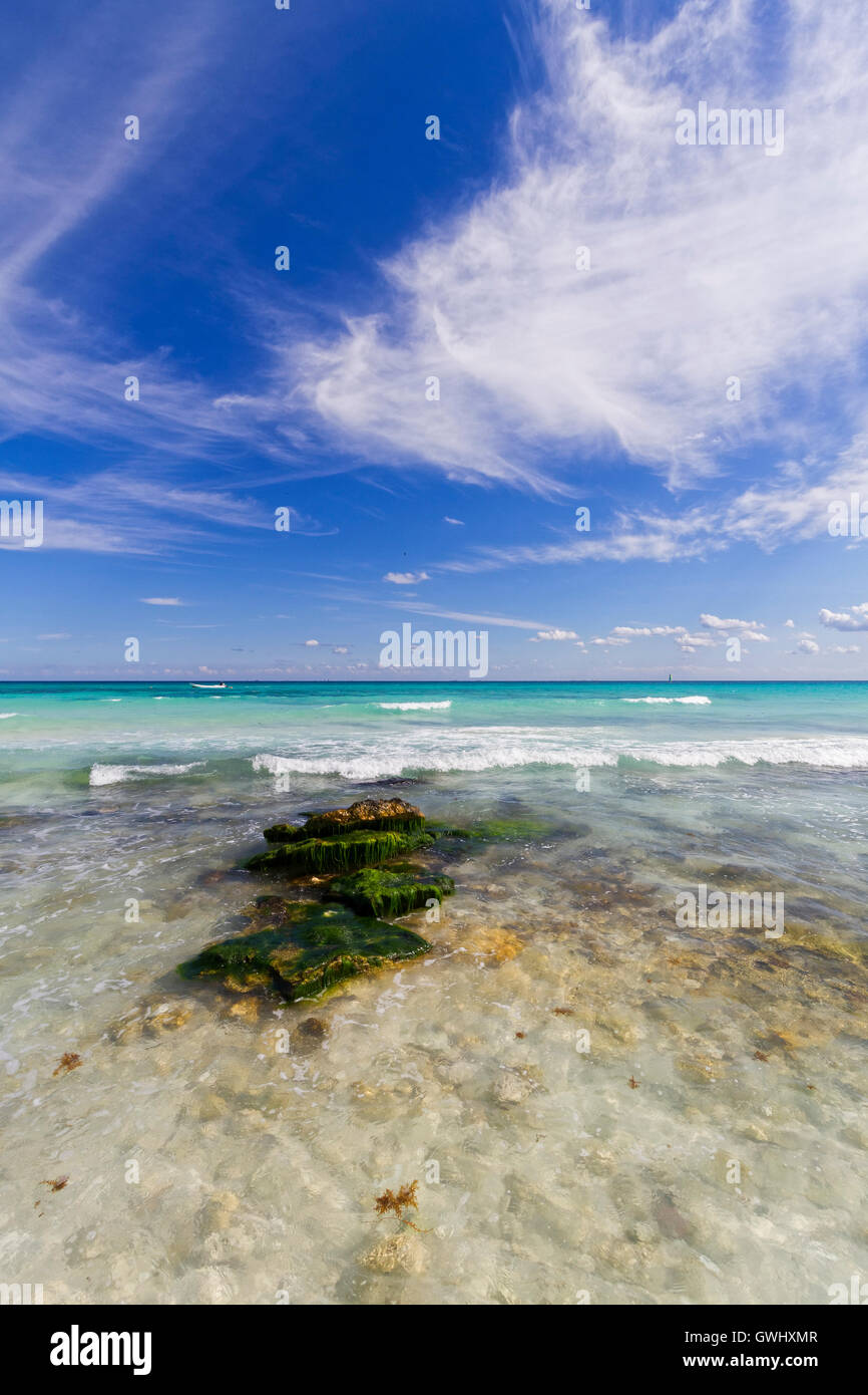 View of the Caribbean beach with crystal clear water Stock Photo - Alamy