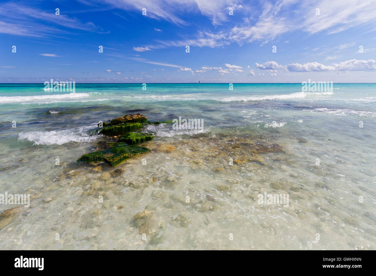 View of the Caribbean beach with crystal clear water Stock Photo - Alamy