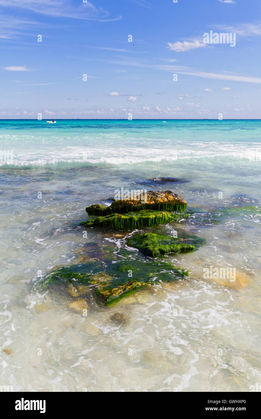 View of the Caribbean beach with crystal clear water Stock Photo - Alamy