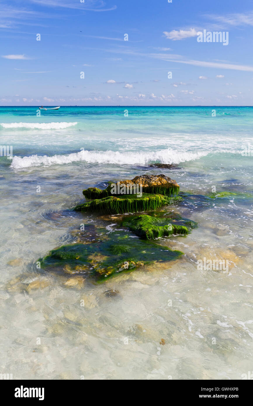 View of the Caribbean beach with crystal clear water Stock Photo - Alamy