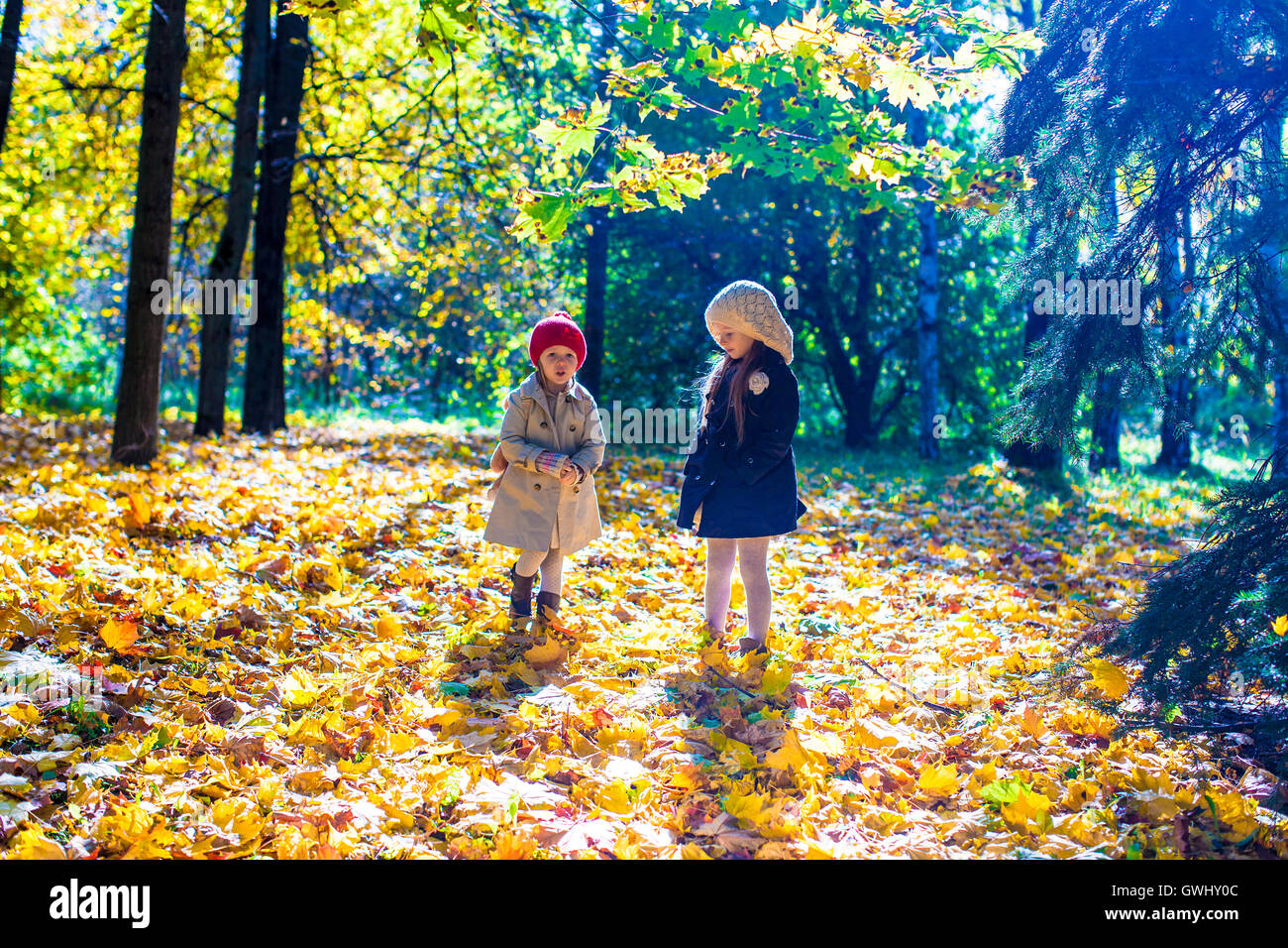 Two beautiful adorable girls walking in the fall forest at warm sunny ...