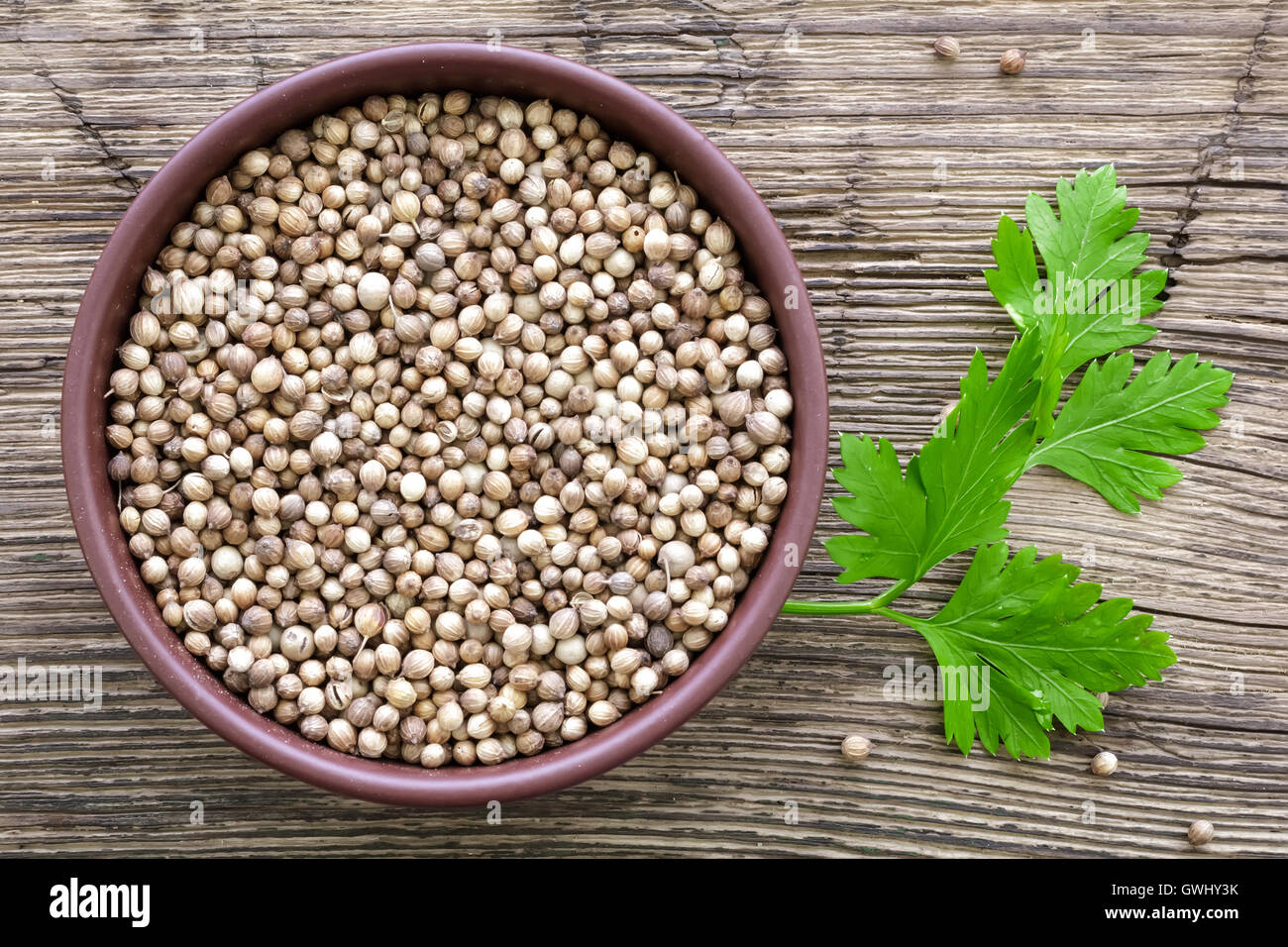 Chinese herbal medicine coriander hi-res stock photography and images ...