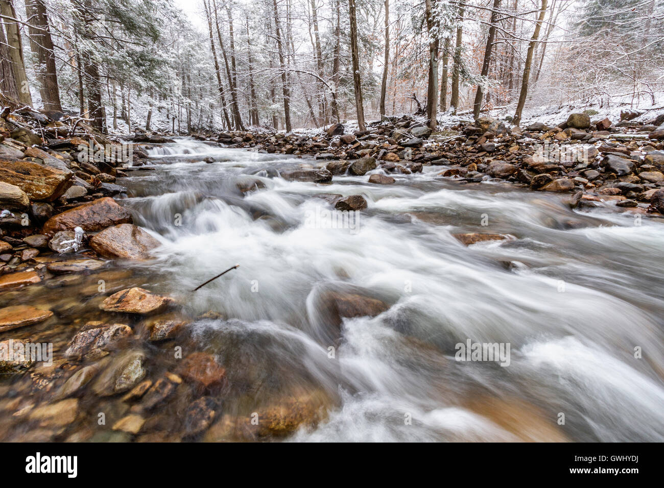Beautiful view of the flowing forest creek Stock Photo - Alamy