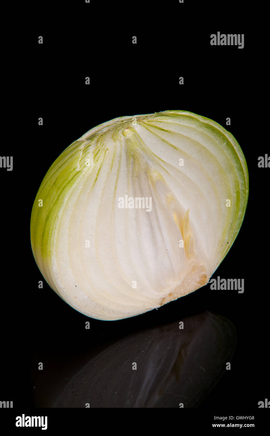Onion close up Stock Photo - Alamy