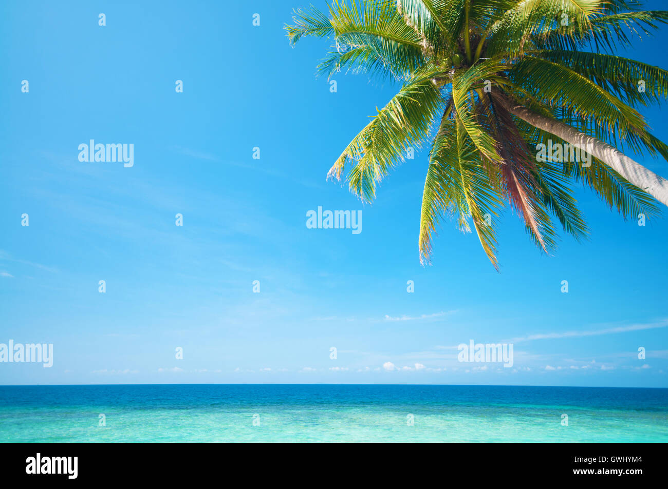 Summer sea view Stock Photo - Alamy