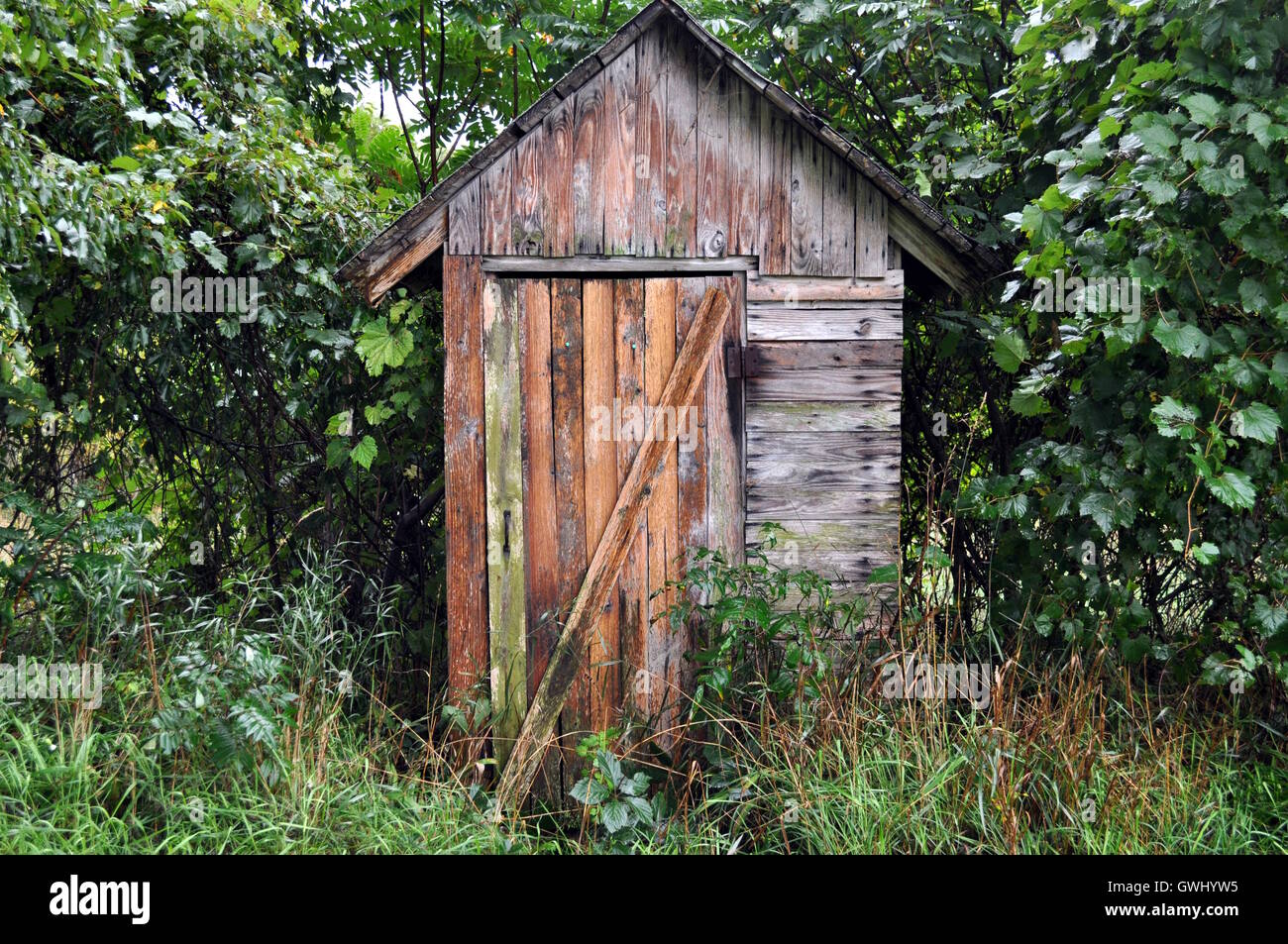 Little hut in the woods Stock Photo - Alamy