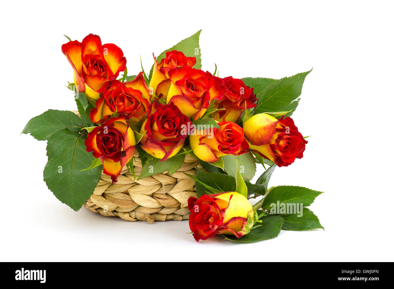 red and yellow roses in a basket Stock Photo - Alamy