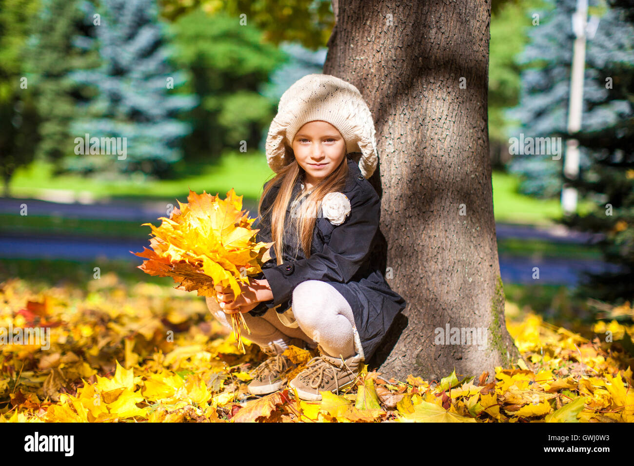 Pretty Fashion girl sitting under a tree with bouquet of maple leaves ...