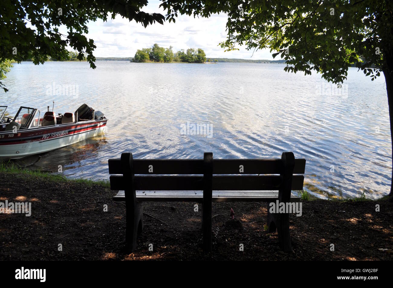 A peek through the trees Stock Photo - Alamy