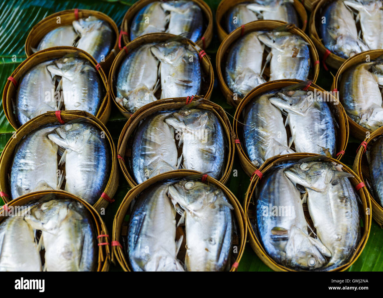 Fish in barrels for sell at market in Bangkok Stock Photo - Alamy
