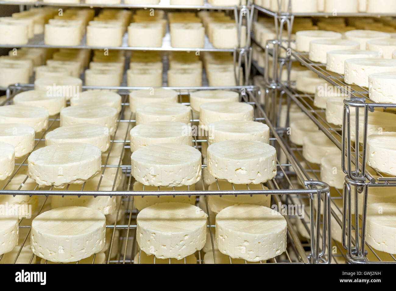 Maturing cheeses hi-res stock photography and images - Alamy