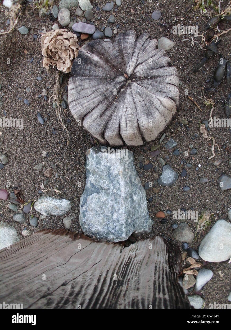 Talybont, Gypsy corner, Gwynedd, North Wales. nature Stock Photo - Alamy