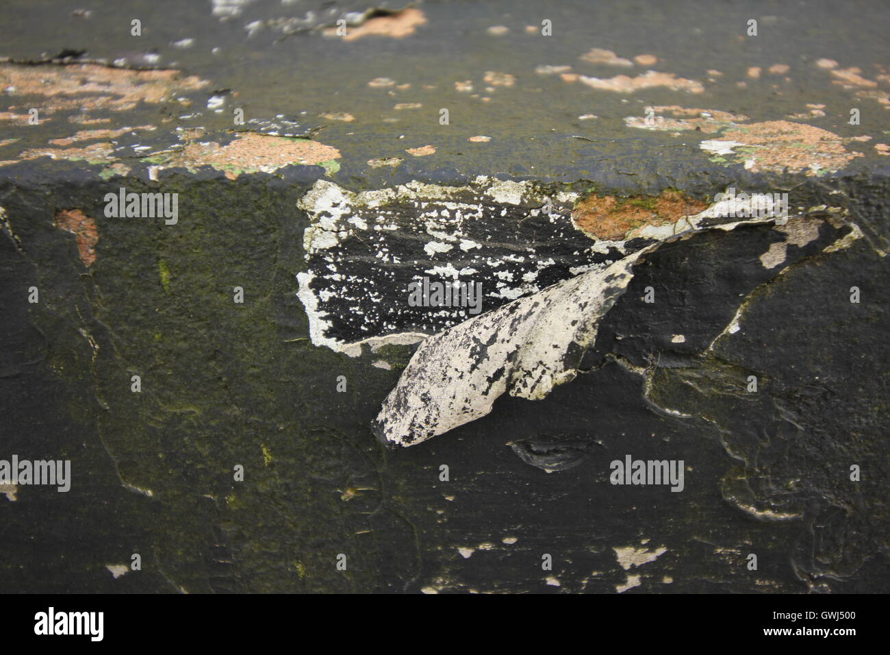 Decay paint hi-res stock photography and images - Alamy