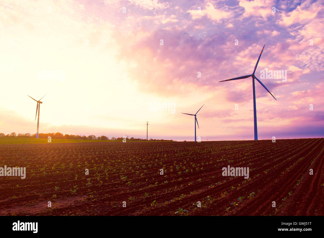 Windmills on the windfarm agriculture land. Field and sky at sunset ...