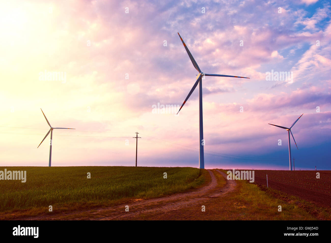 Windmills on the windfarm agriculture land. Field and sky at sunset ...