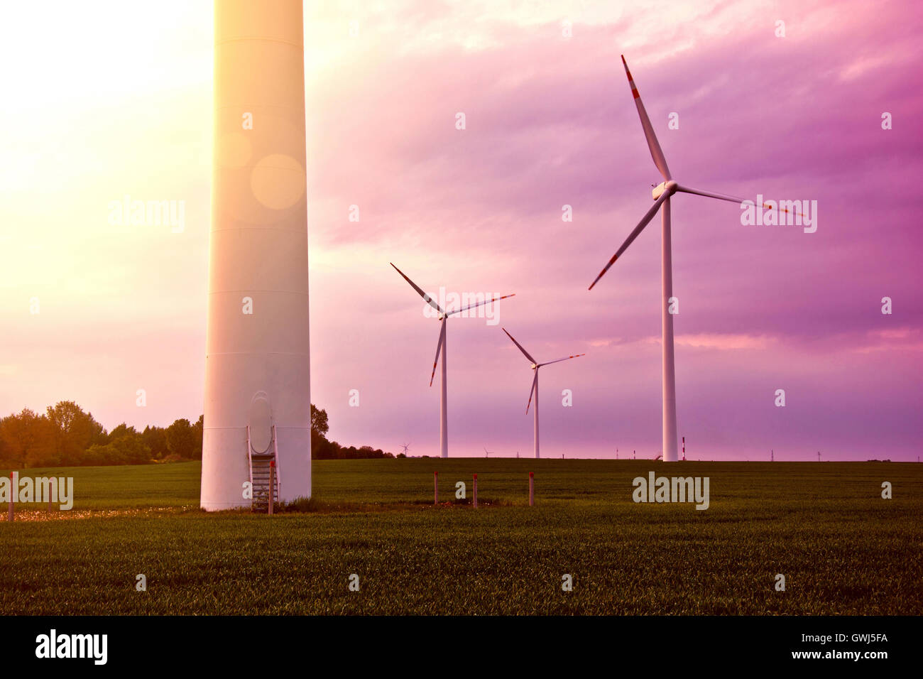 Windmills on the windfarm agriculture land. Field and sky at sunset ...