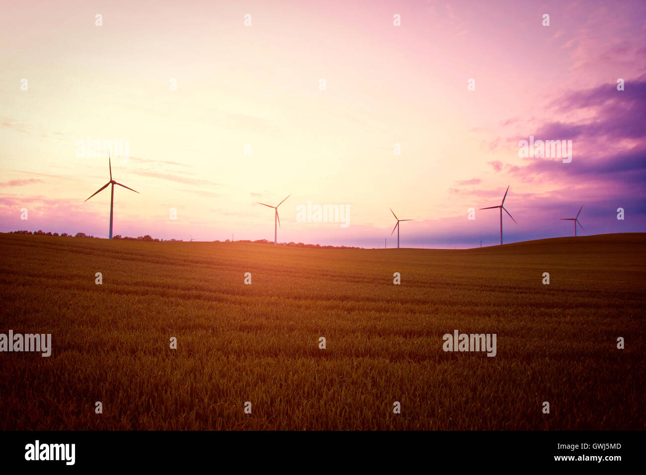 Windmills on the windfarm agriculture land. Field and sky at sunset ...