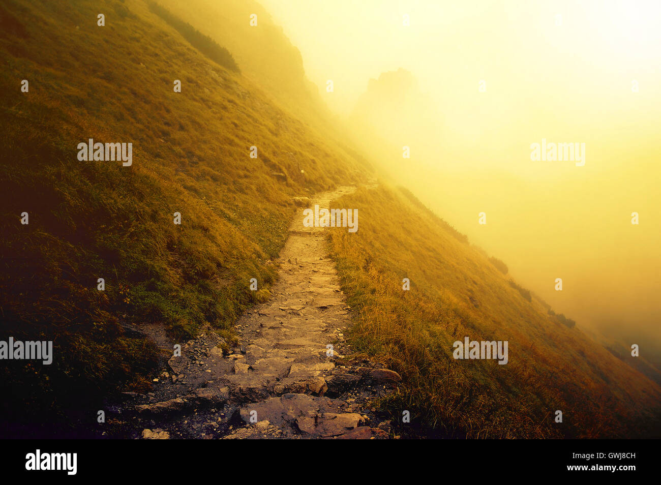 Fog in mountains. Fantasy and colorfull nature landscape. Nature ...
